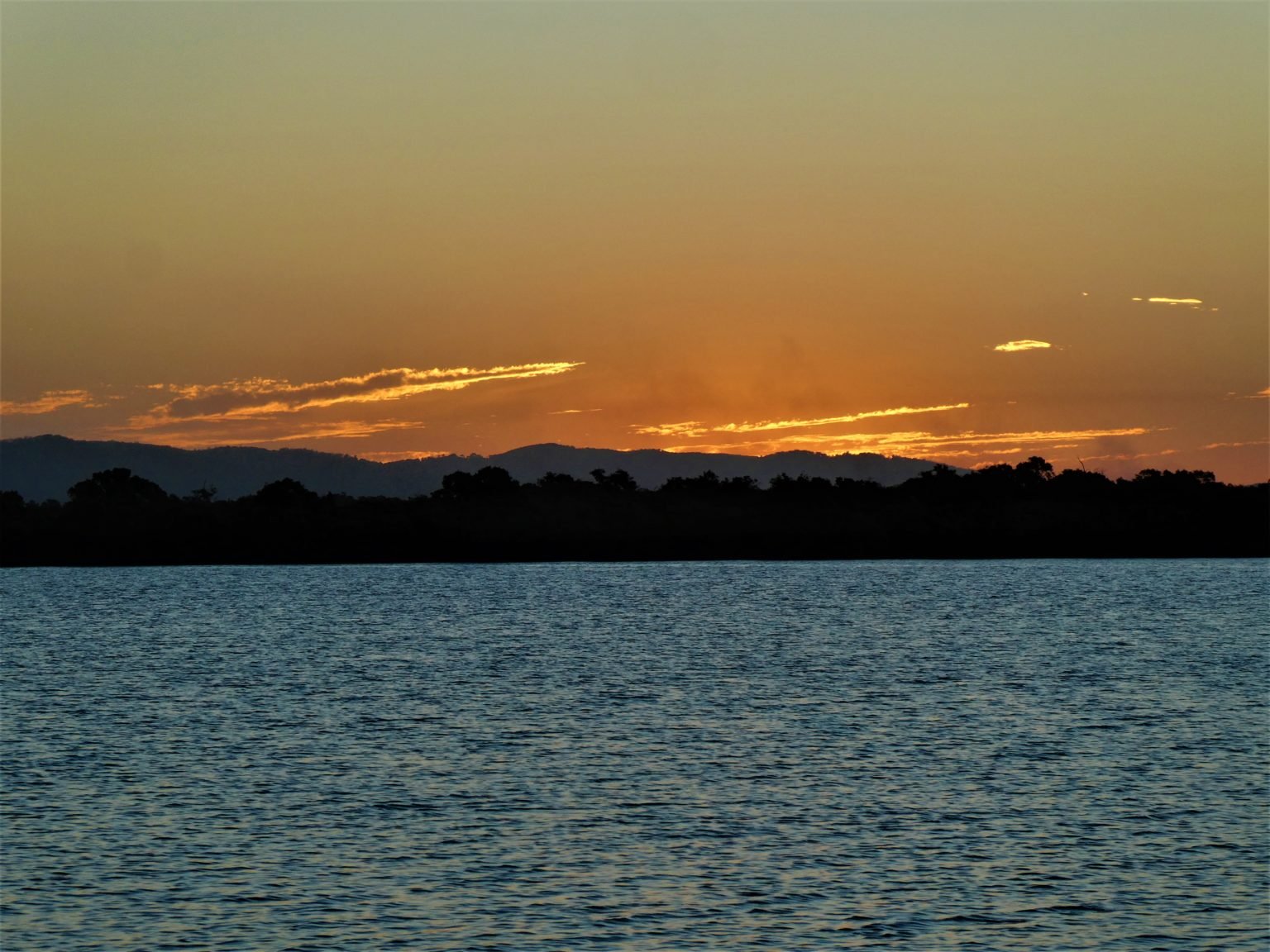 Still out and about in Moreton Bay | Morpheus of London – Richard and ...